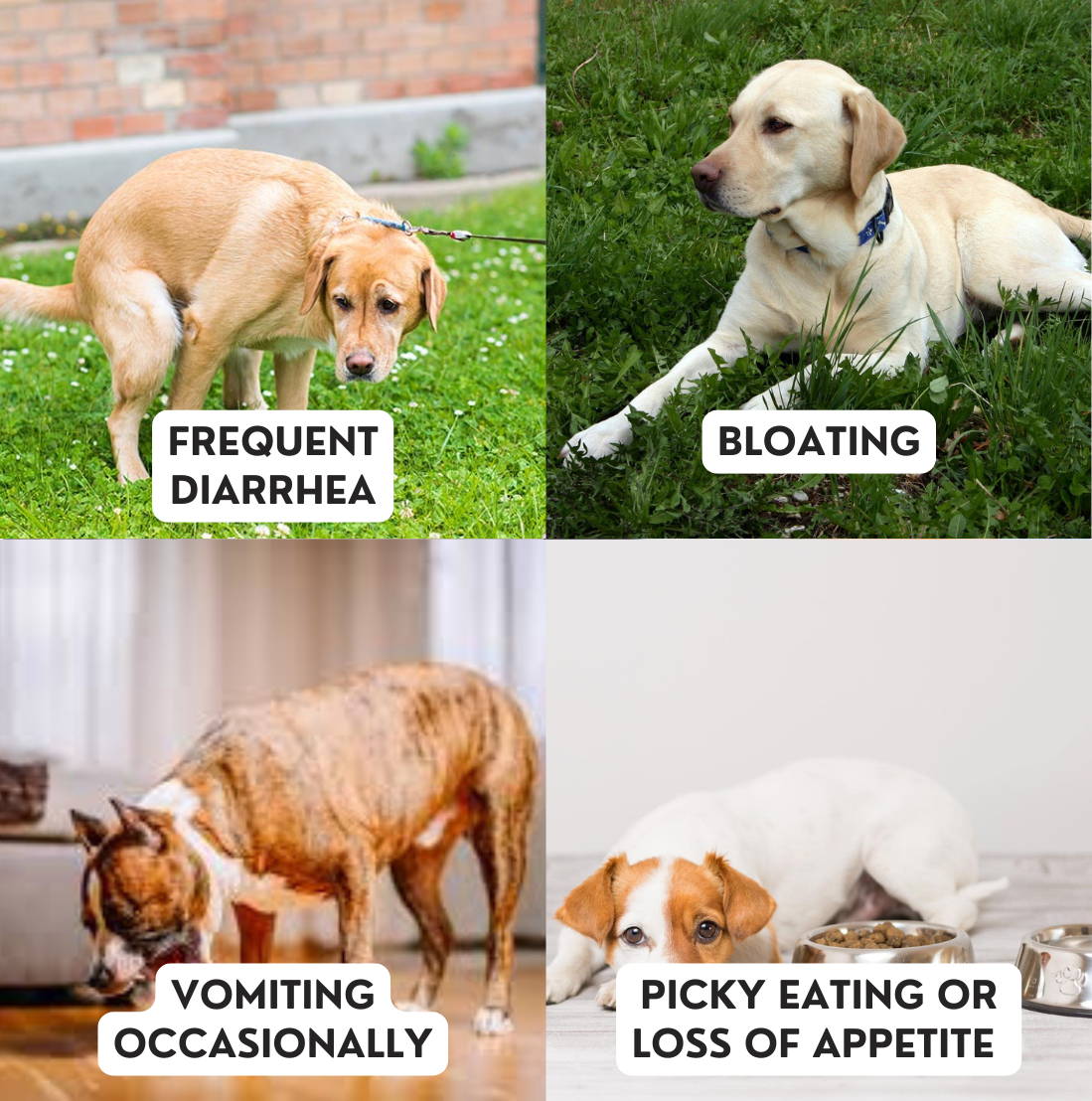 Sensitive Care – Addiction NZ